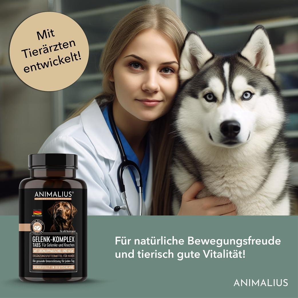 Animalius Joint Tablets for Dogs - Extra Small All Breeds | Green Lip ...