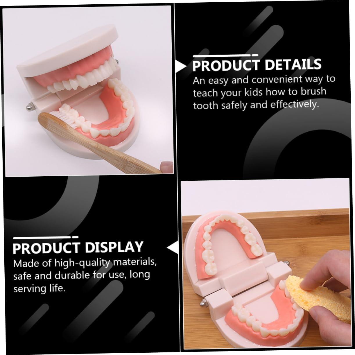 Minkissy Educational Tooth Brushing Toy Set - Early Learning Teeth ...