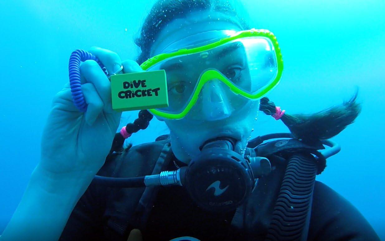 Underwater Communication Device for Divers - Dive Cricket (1 Pack ...