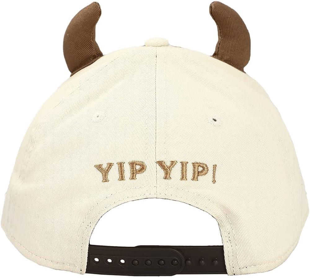 Avatar The Last Airbender Appa Character 3D Big Face Snapback Hat ...