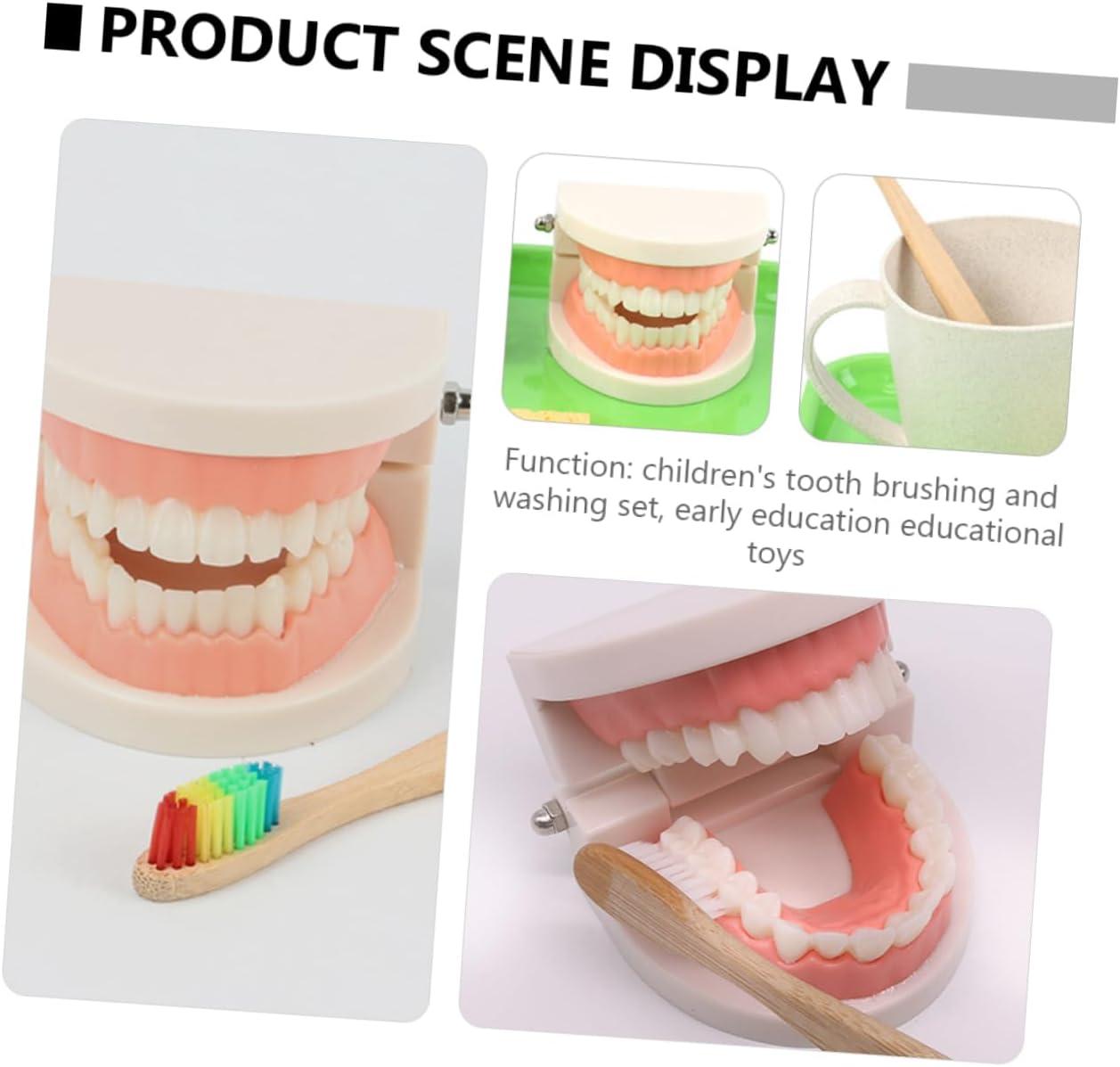 Minkissy Educational Tooth Brushing Toy Set - Early Learning Teeth ...