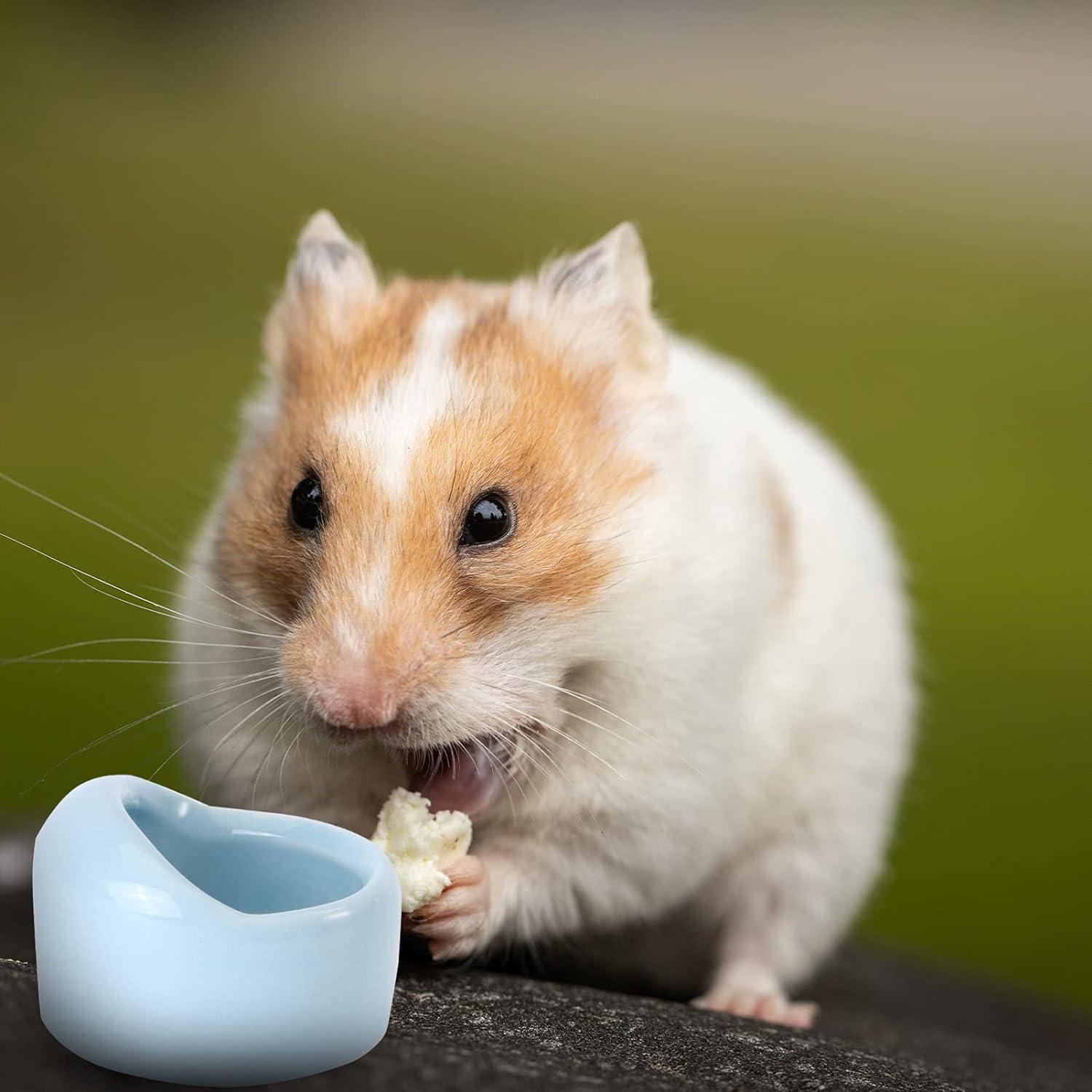 Hamster Bowl- Small Animal Food Dish Hamster Water Bowl for Bunny ...