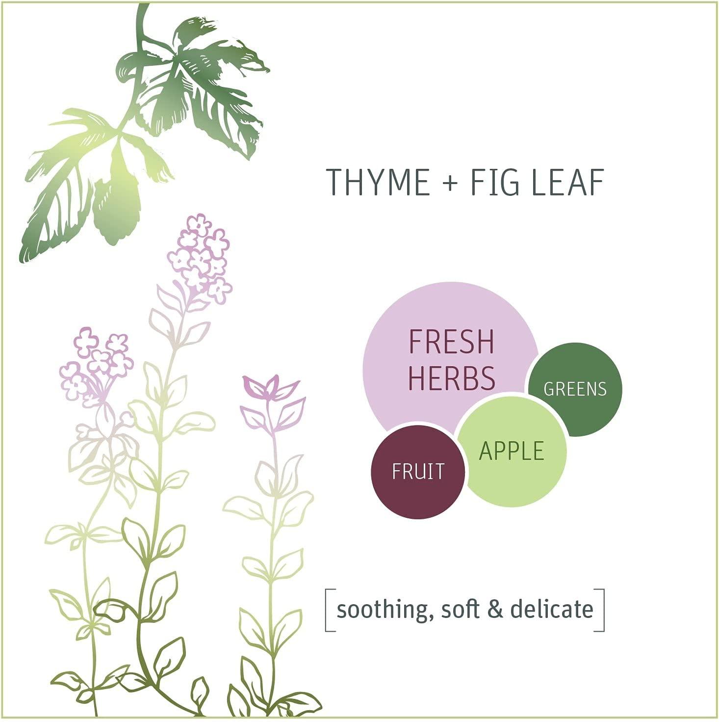 Grab Green Dishwashing Pods - 24 Count, Thyme Fig Leaf Scent, Plant ...