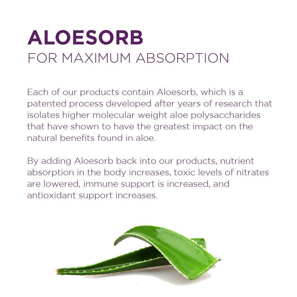 Lily of the Desert Aloe Vera Gel - Inner Fillet Filtered Drink ...