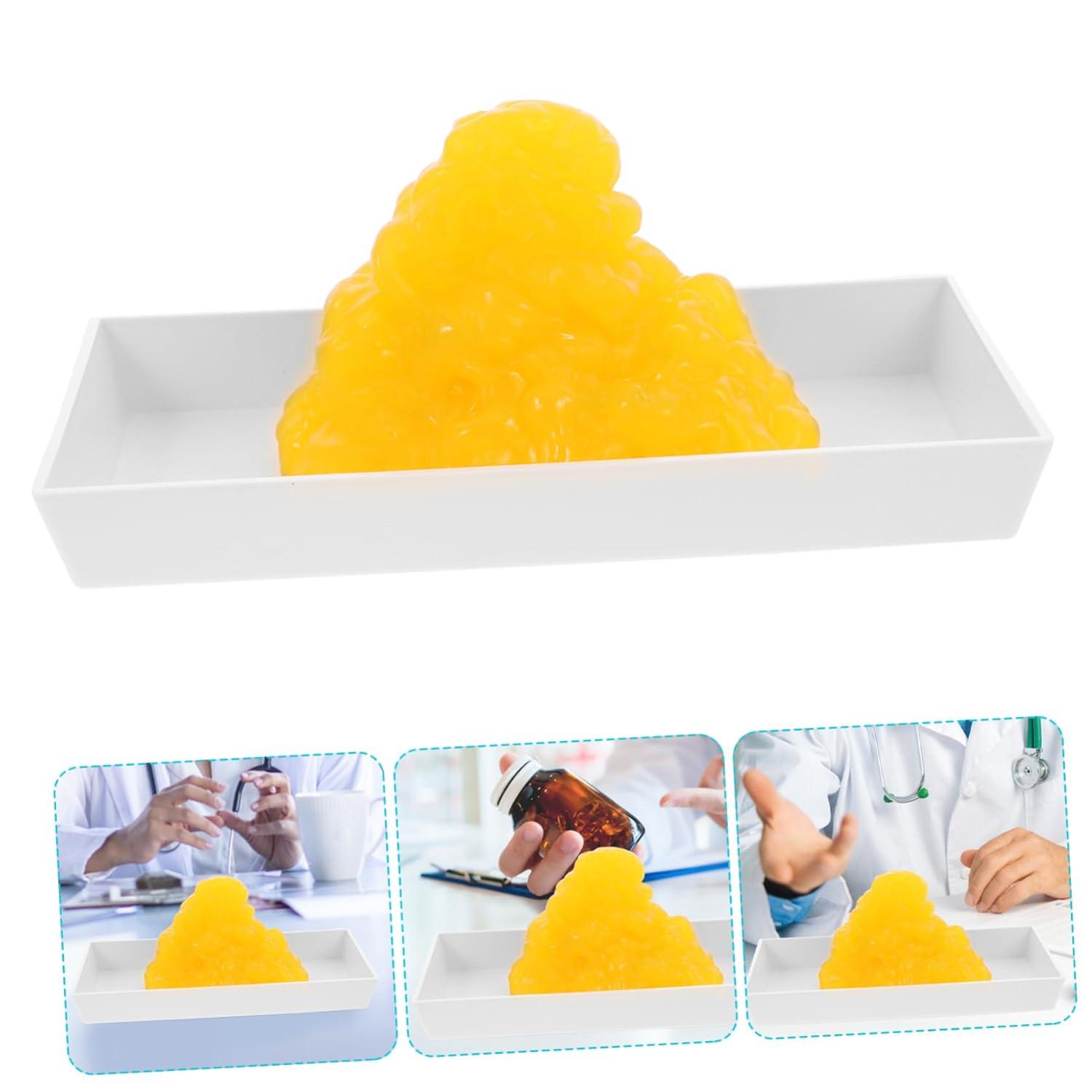 PartyKindom Nutritionist Fat Model Models Body Fat Display Replica Fat ...