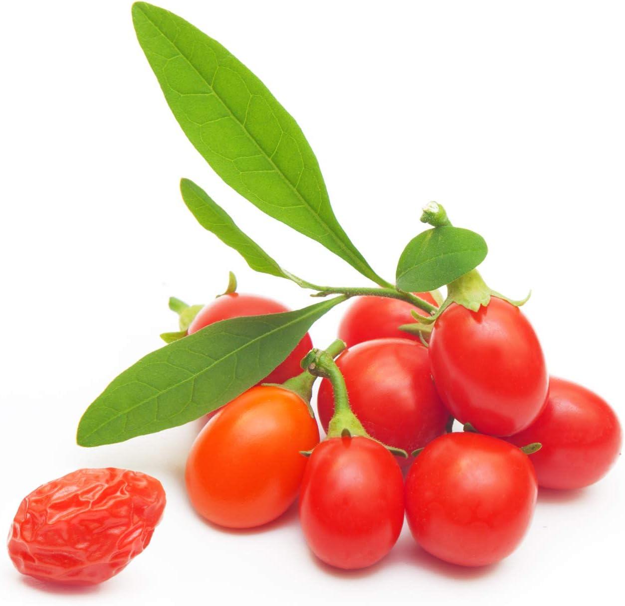 Goji (Lycium Barbarum) 375 mg/120 capsules 50% polysaccharides ...