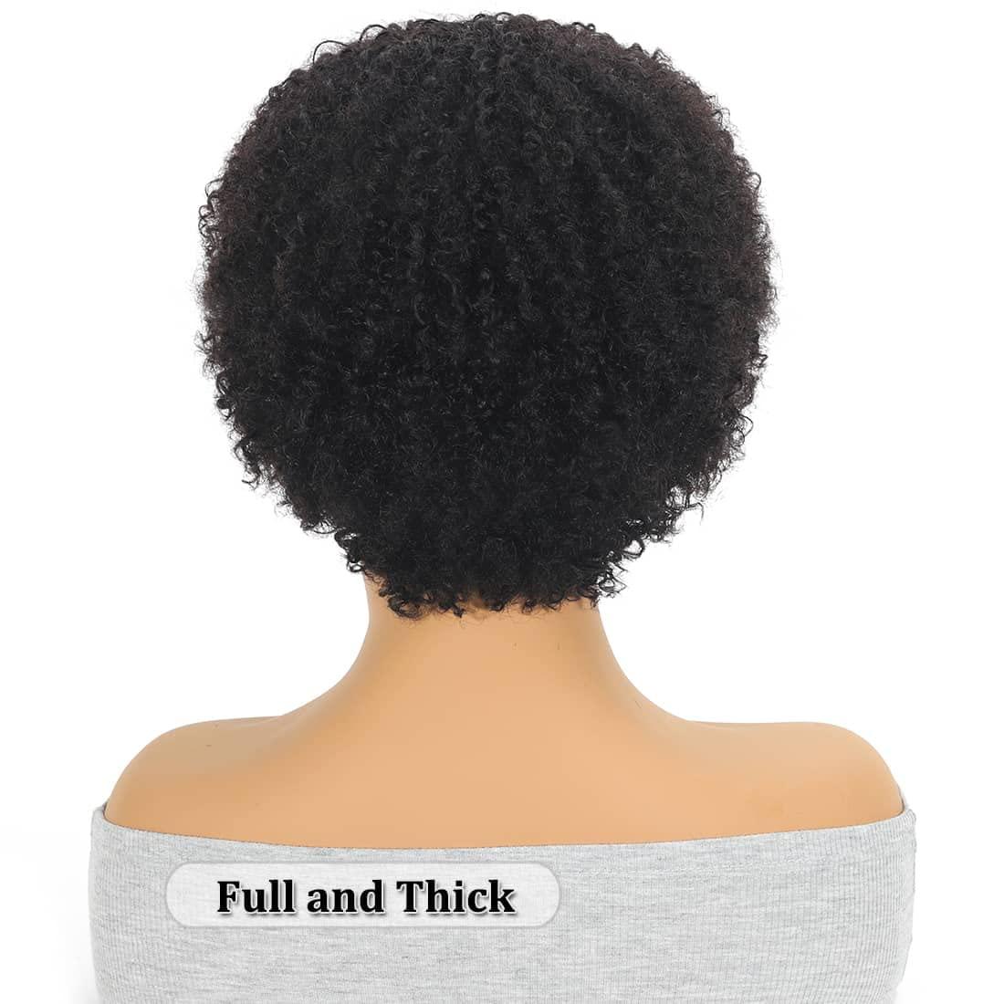 Plecare Afro Wigs: 100% Human Hair, Glueless Short Kinky Curly Wigs - Perfect for Cosplay or ...