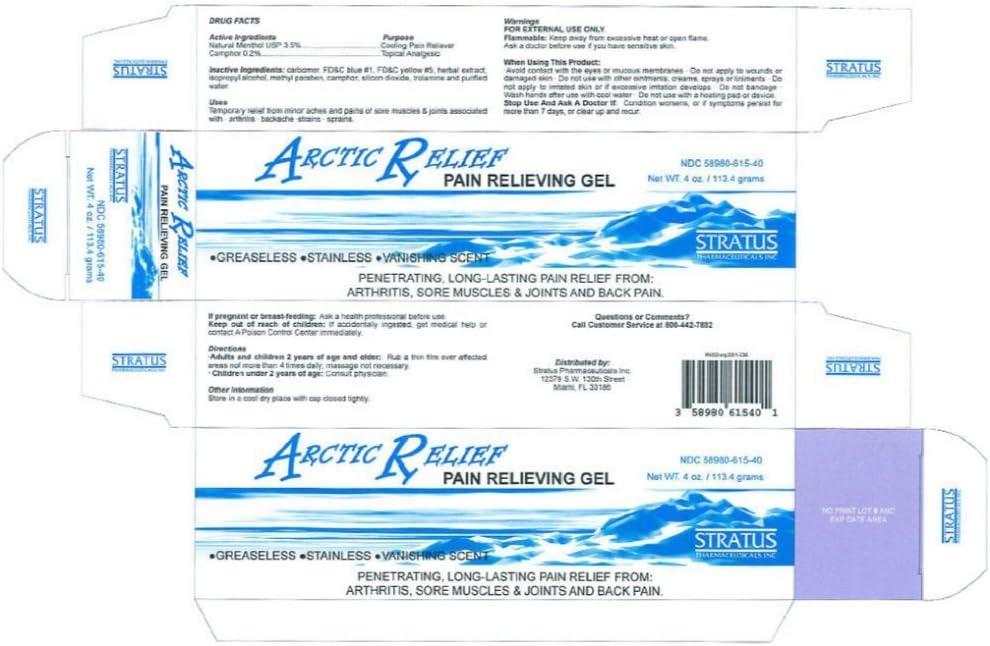 Arctic Relief External Gel 4oz - Fast-Acting Pain Relief Gel - Soothes ...