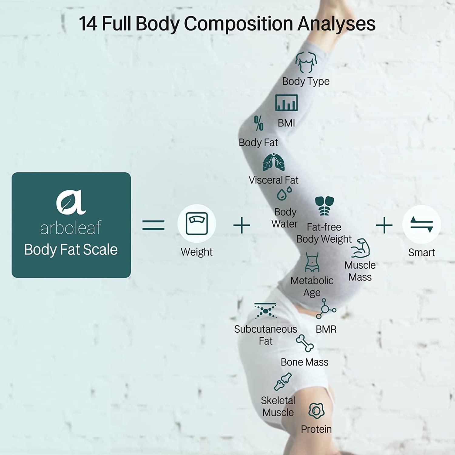 body composition analysis scale