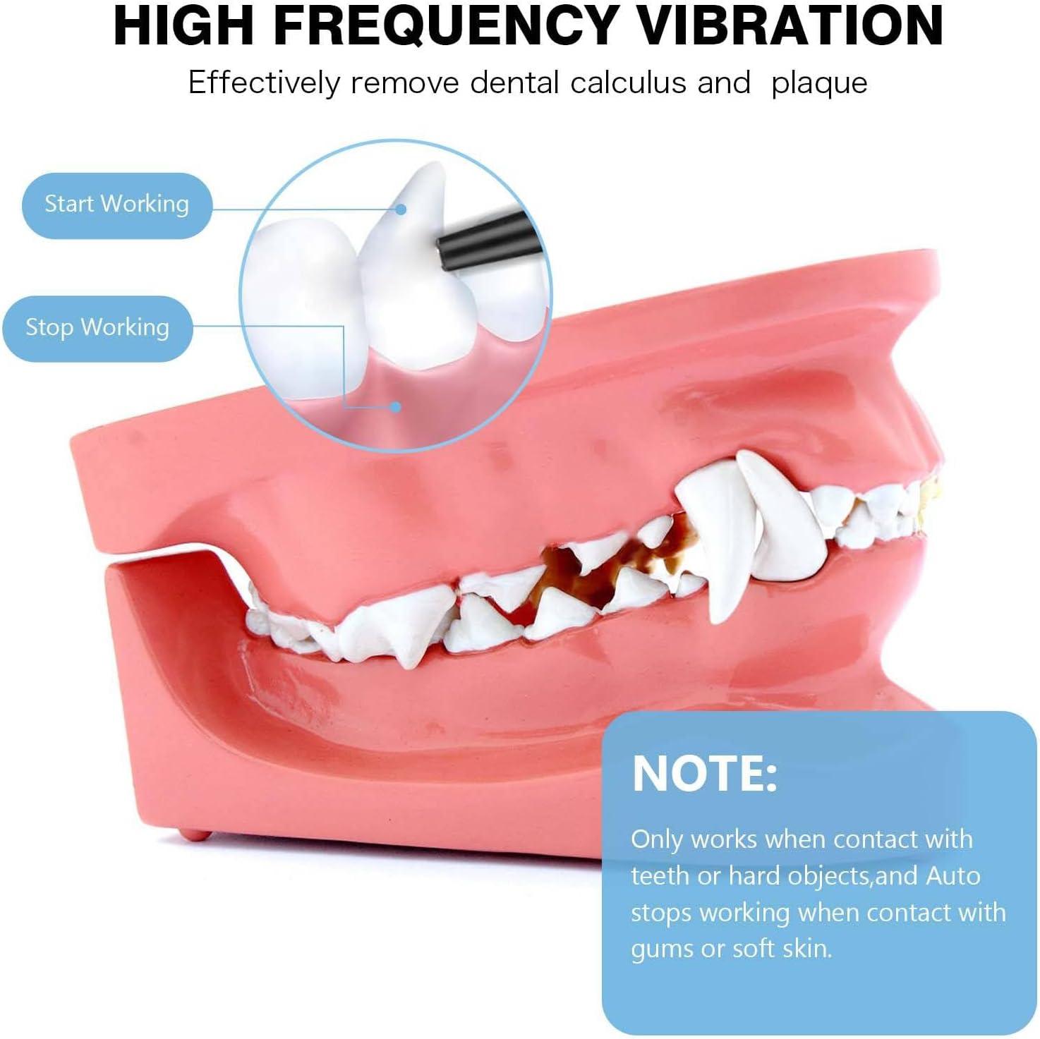 remove calculus dog teeth