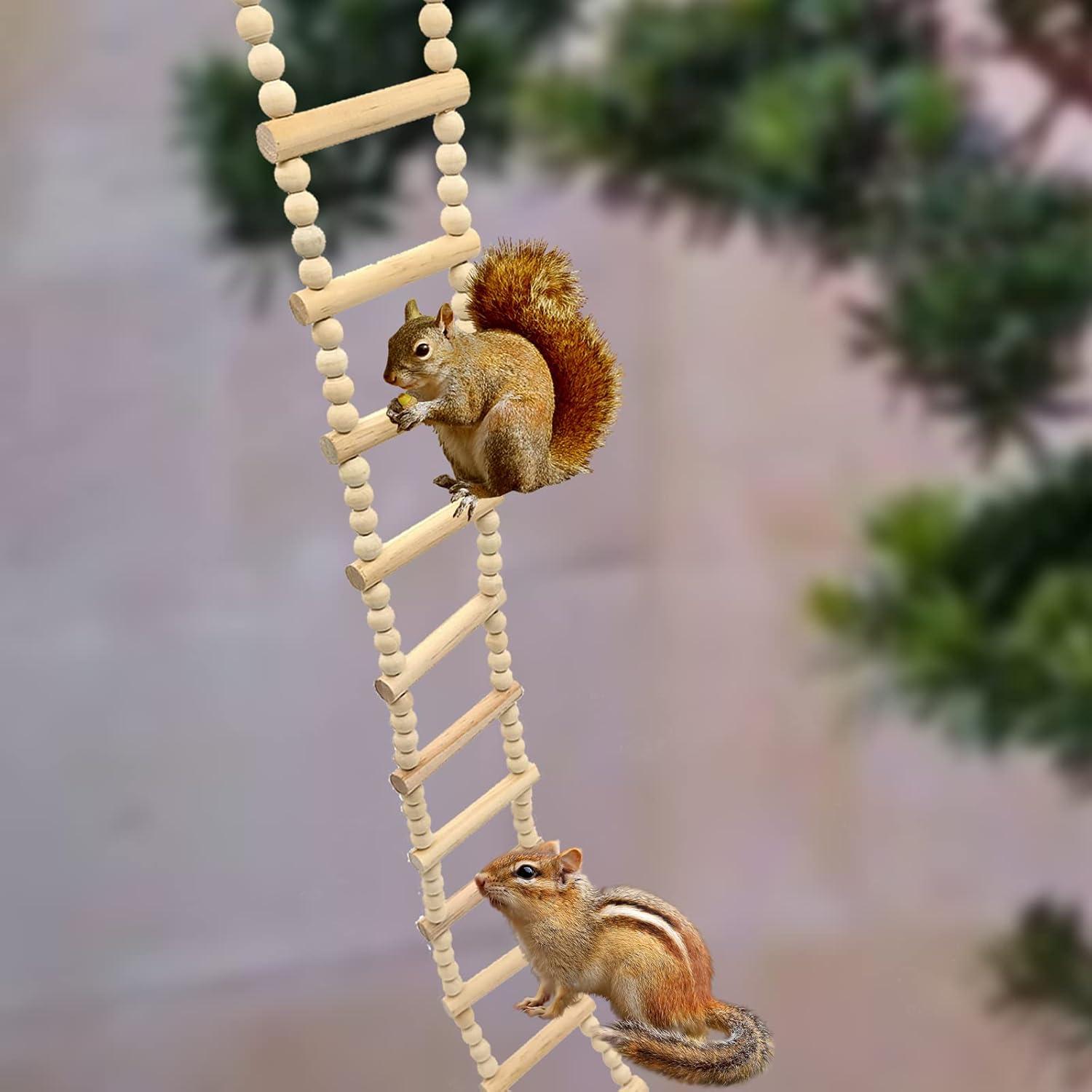 Buy Bird Ladder Bridge Toys - 12 Wooden Small Animal Climbing ...