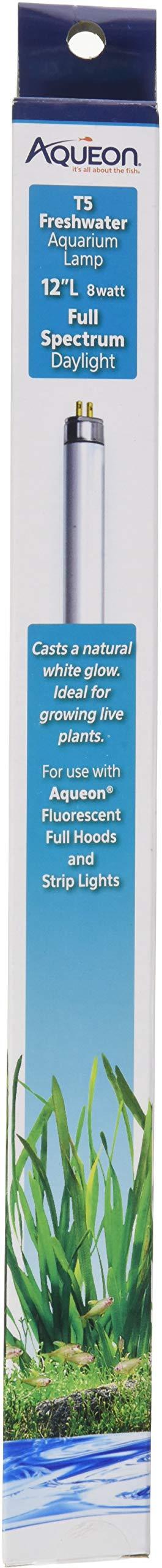 Aqueon Full Spectrum Daylight T5 Fluorescent Bulb - 8 Watts | Black ...