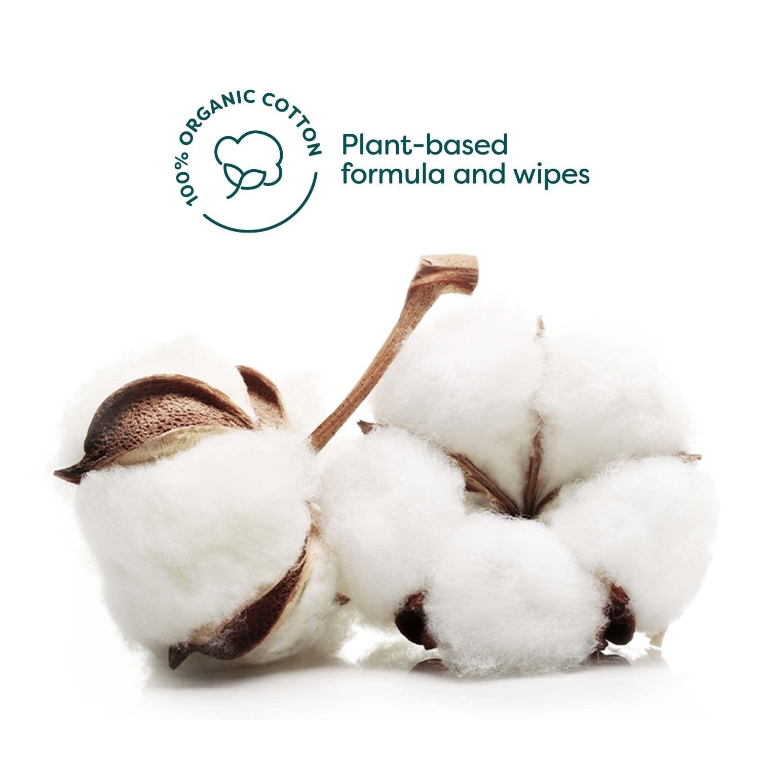 Rawganic Anti-Aging Hydrating Facial Wipes - Fragrance-Free Organic ...