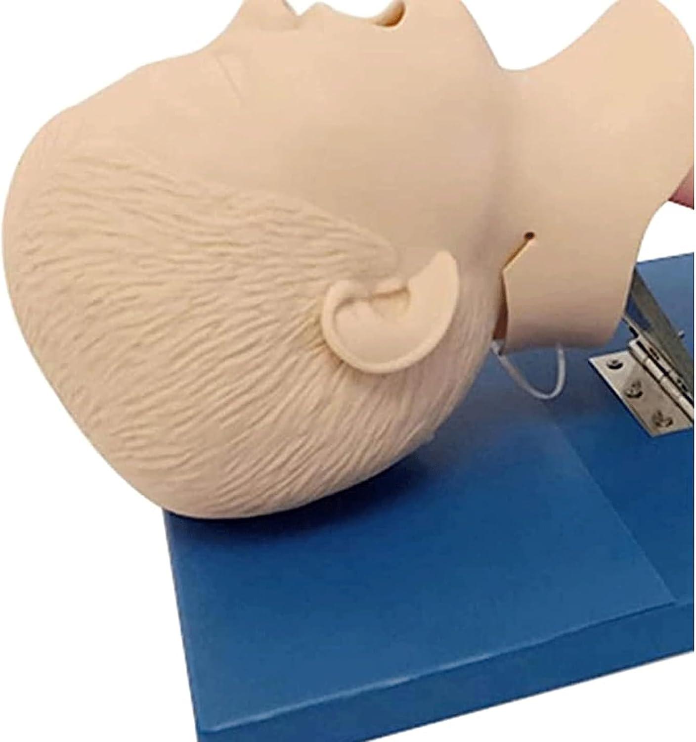 Neonatal oronasal Intubation Model Airway Management Trainer PVC Demo ...