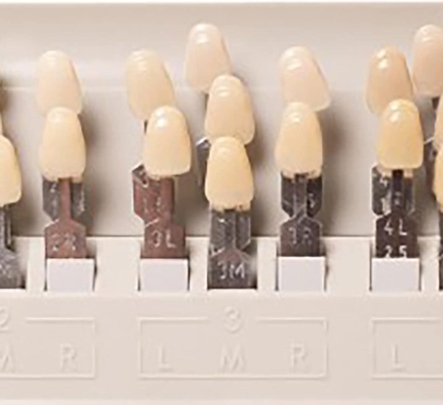 Teeth Shade Guide - 29 Color Whitening Chart for Perfect Smile ...