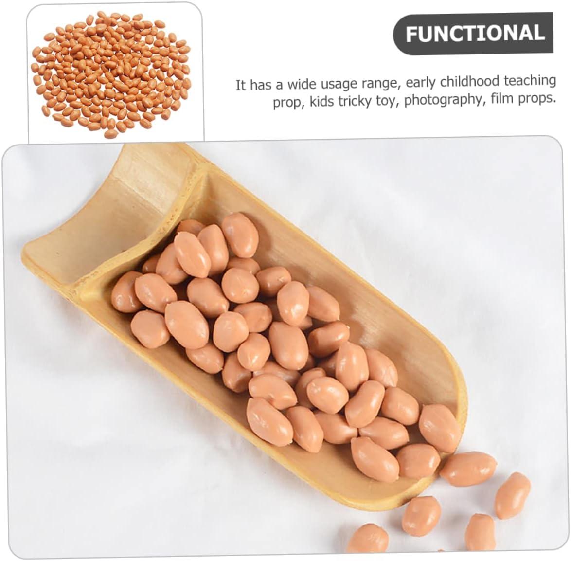 Ciieeo 1 Decorative Nut Model Simulation Fake Fruit Faux Groundnut ...