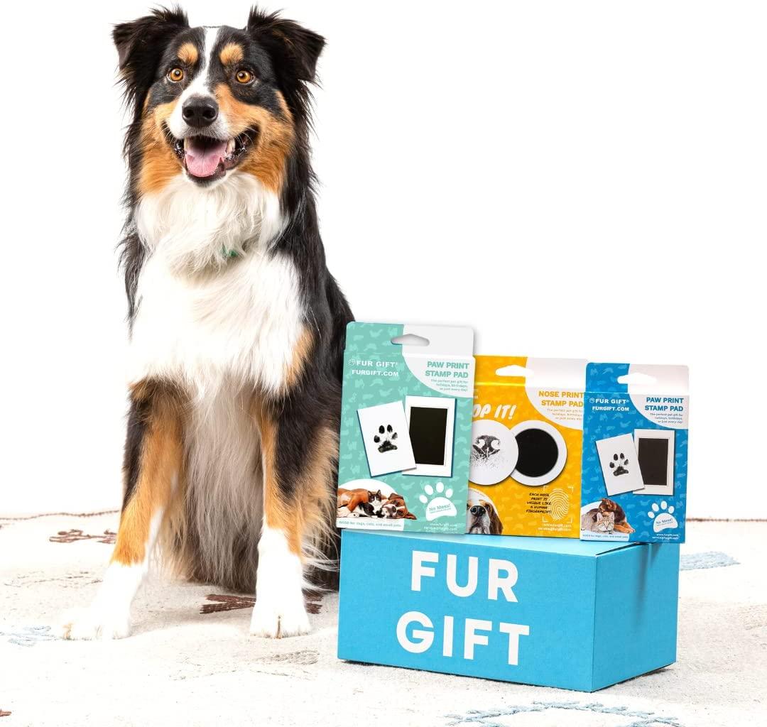 Paw Print Stamp Pad Kit | Pet-Safe Ink | No-Mess Imprint Cards | Pet ...