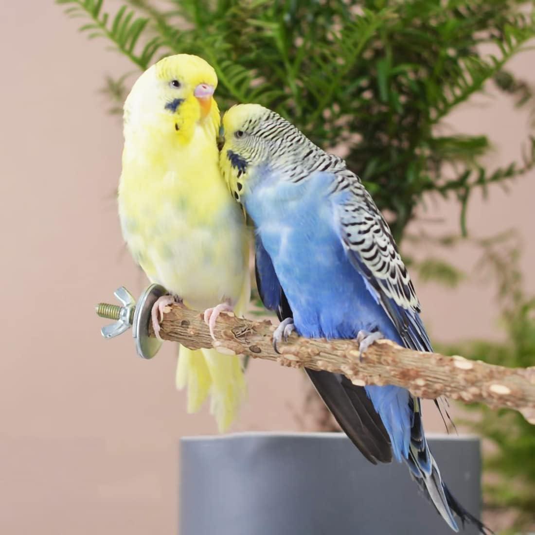 6 Pcs Bird Perch Stand Set Bird Cage Parrot Toys Natural Wood Branch ...