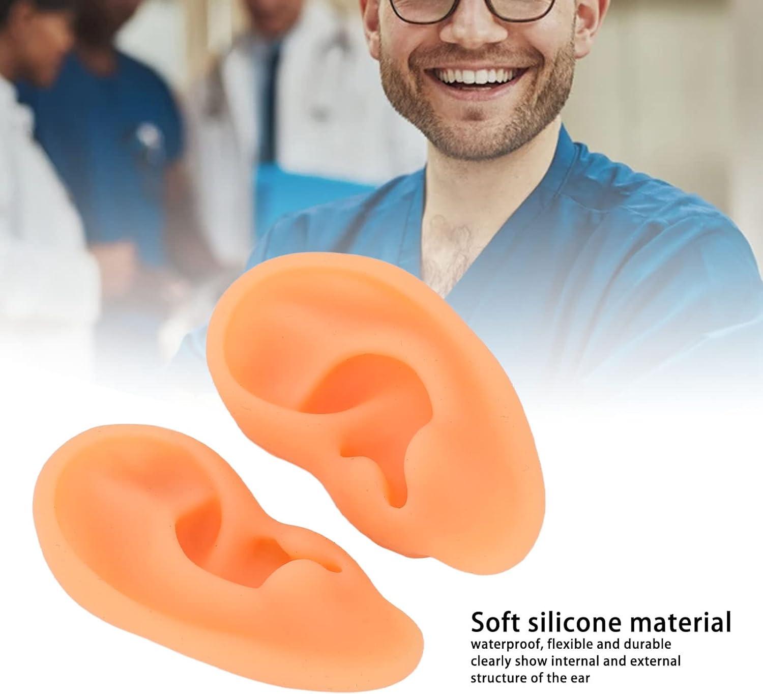 Soft Silicone Human Ear Model Set for Acupuncture Practice - 2 Pieces ...