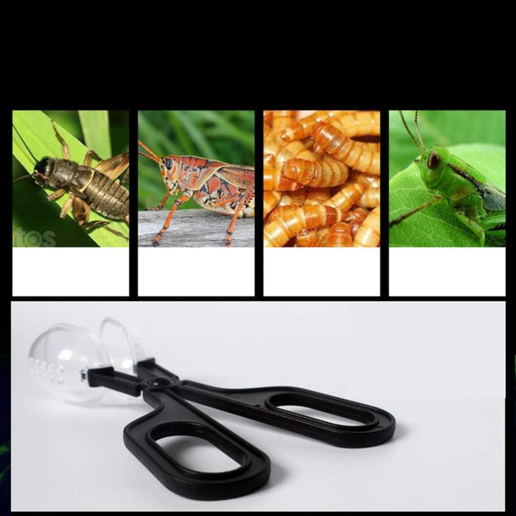 Toyvian Reptiles Zonge Clip - Feeding & Cleaning Tool for Amphibians ...
