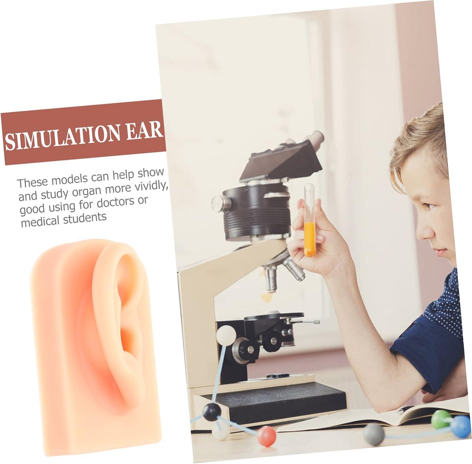ULTECHNOVO Simulation Ear Model Ear Model Silicone Body Parts for ...