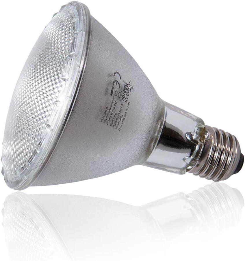 Buy SOLAR RAPTOR UV Halogen Spot 75W - Reptile Heat Lamp & Daylight ...