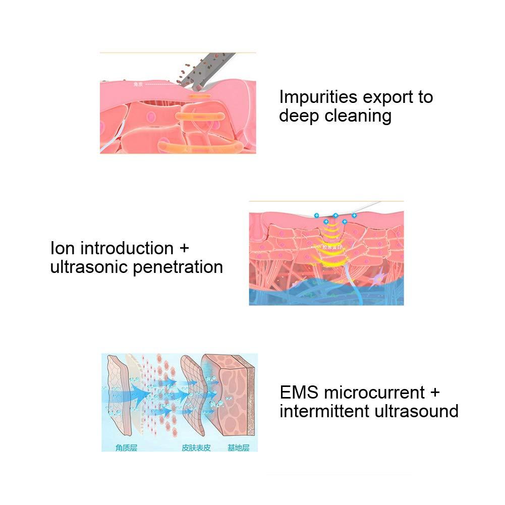 Skin Scrubber Face Spatula for Deep Facial Cleansing - Acne Extraction ...