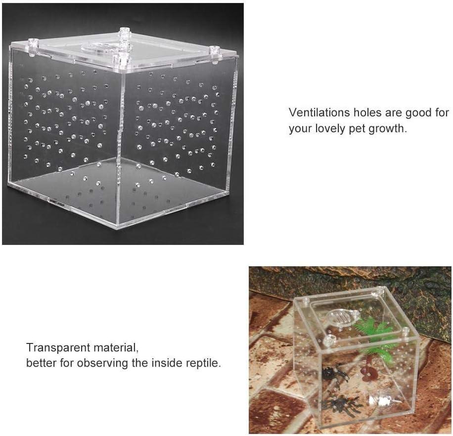 Acrylic Reptile Breeding Box Transparent Live Food Storage Insect ...