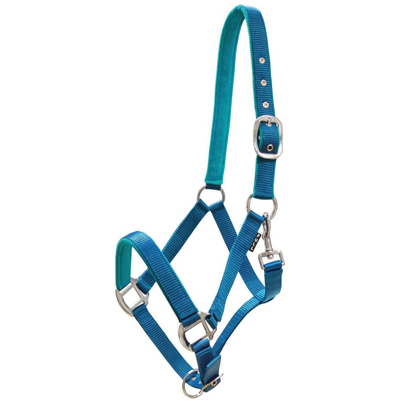 Buy York Horse Halter Milo - Soft Padded Nylon Halter for Ponies | Blue ...