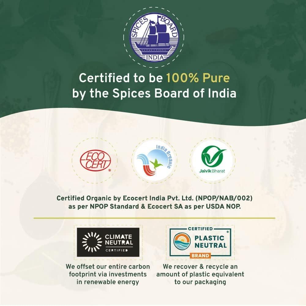 SPICE TRAIN Garlic Powder 200g/7oz - Raw Ground Garlic from India ...