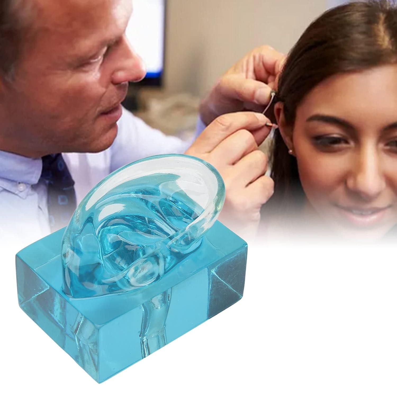 Waterproof Fake Right Ear Model for Earwax Removal - Acrylic Blue ...