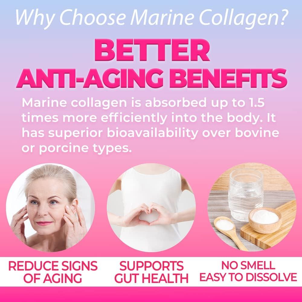 FINE JAPAN Premium Marine Collagen Powder with Hyaluronic Acid, CoQ10 & Elastin - Non-GMO - 196g ...