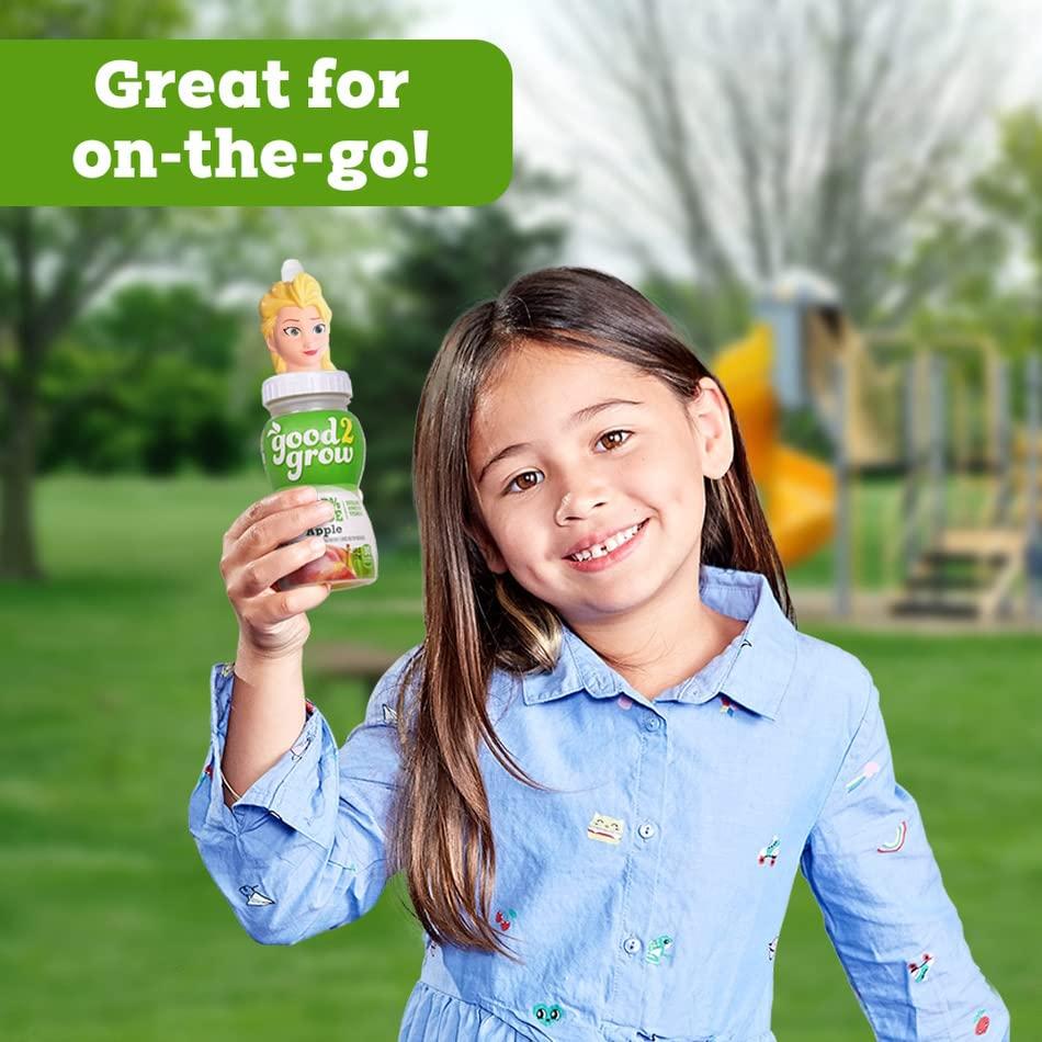 good2grow Disney Princess 3 Flavor Fruit Juice Variety Pack (Apple ...