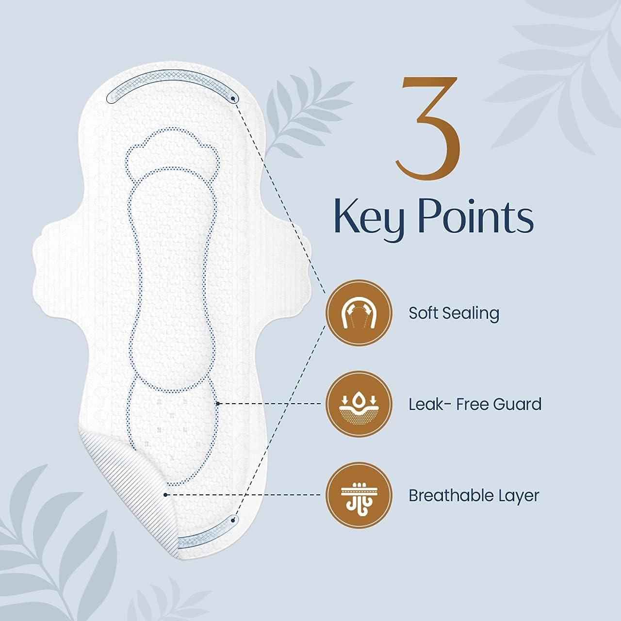 DEAR SKIN Air Embo Sanitary Pads - Regular Size / 16 Count | Chlorine ...