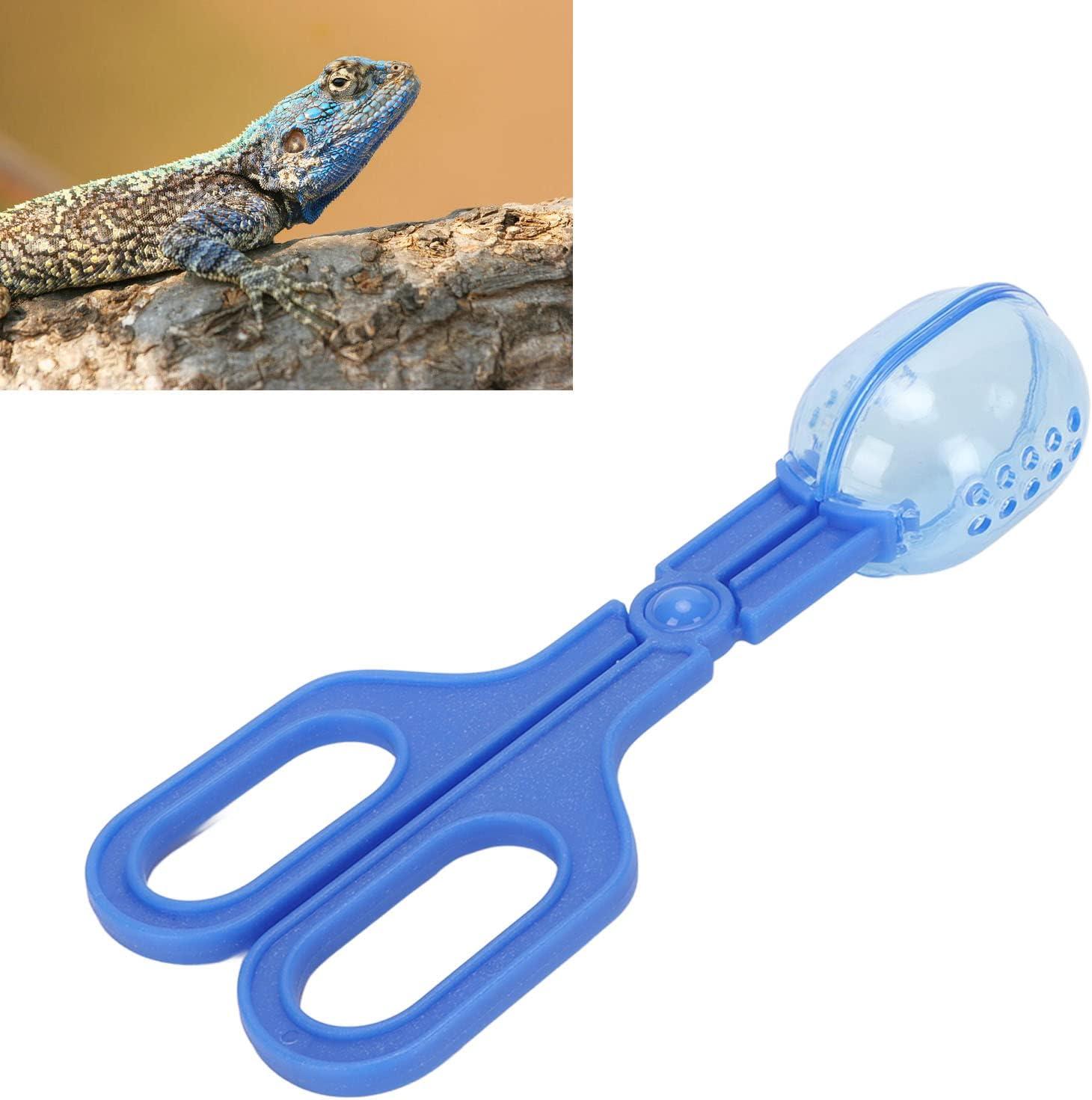Zerodis Reptile Feeding Clamp & Poop Scoop Tool - Optimal Feeding ...