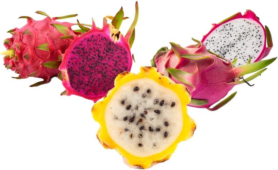 Fresh dragon fruit selection box - white red and yellow dragon fruit ...