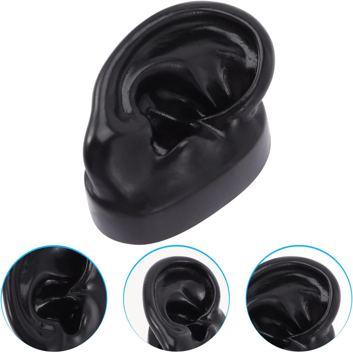 Buy Artificial Ear Mold Piercing Kit 3D Silicone Ear Models for Display ...