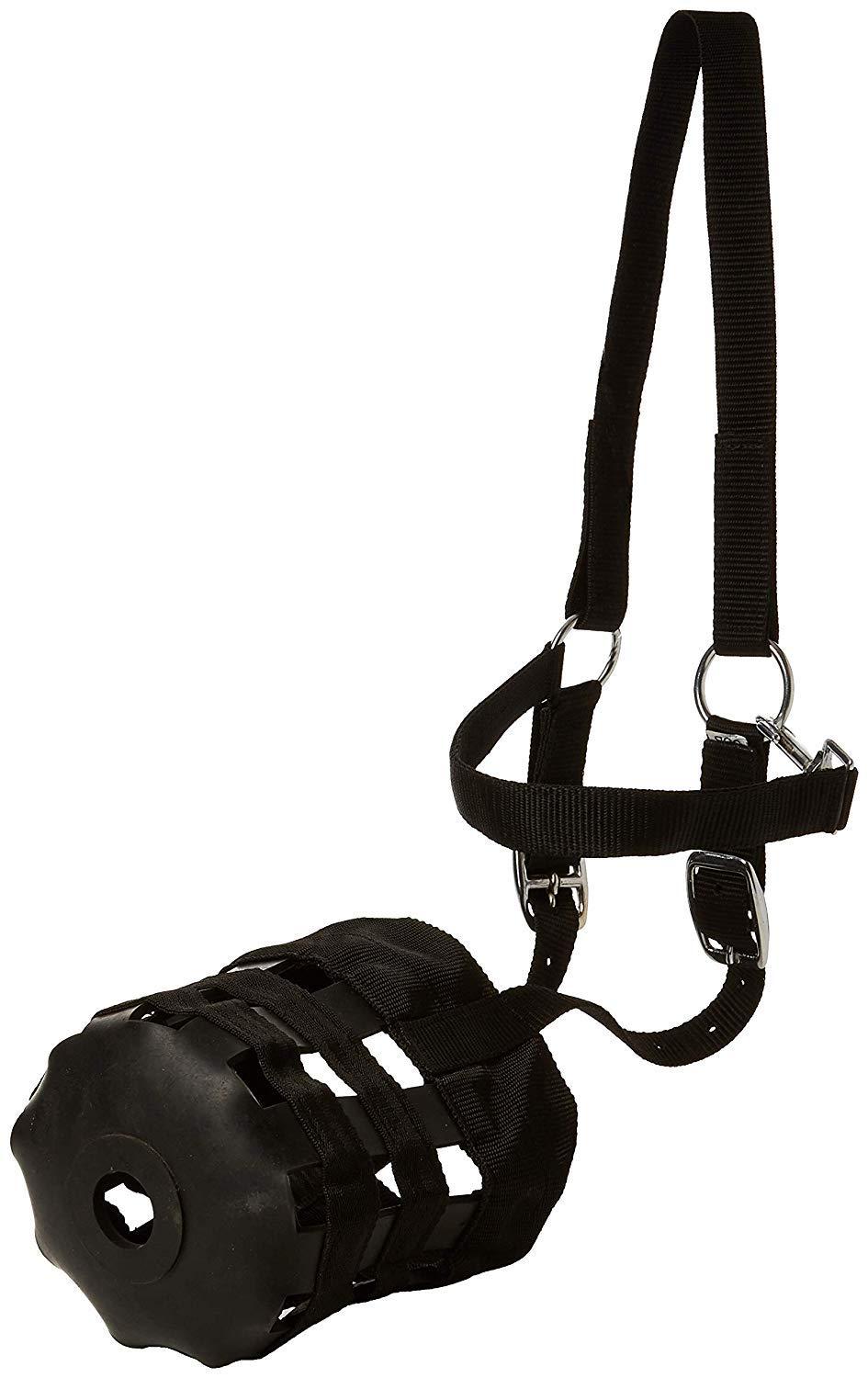 Cwell Equine NEW Nylon GRAZING MUZZLE Horse COB Or Pony Grass Muzzle ...