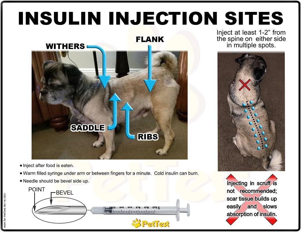 Advocate Pet Test CoolShot Dermal Numbing Device for Diabetes Testing ...