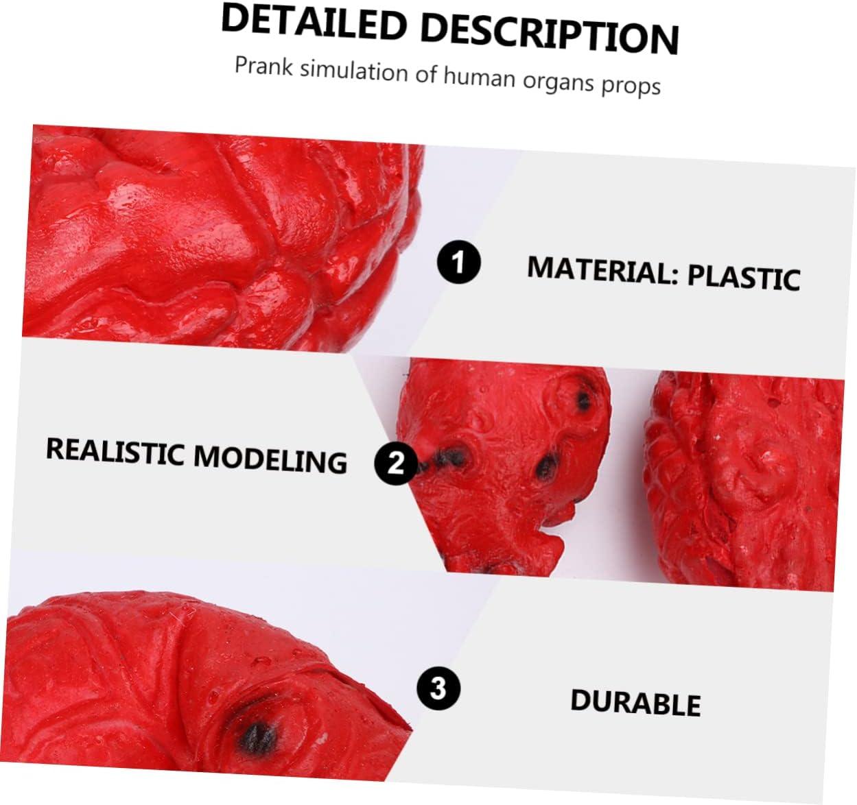 ABOOFAN 2 Pcs Simulated Organ Lunch Box Body Organs Props Fake Body ...