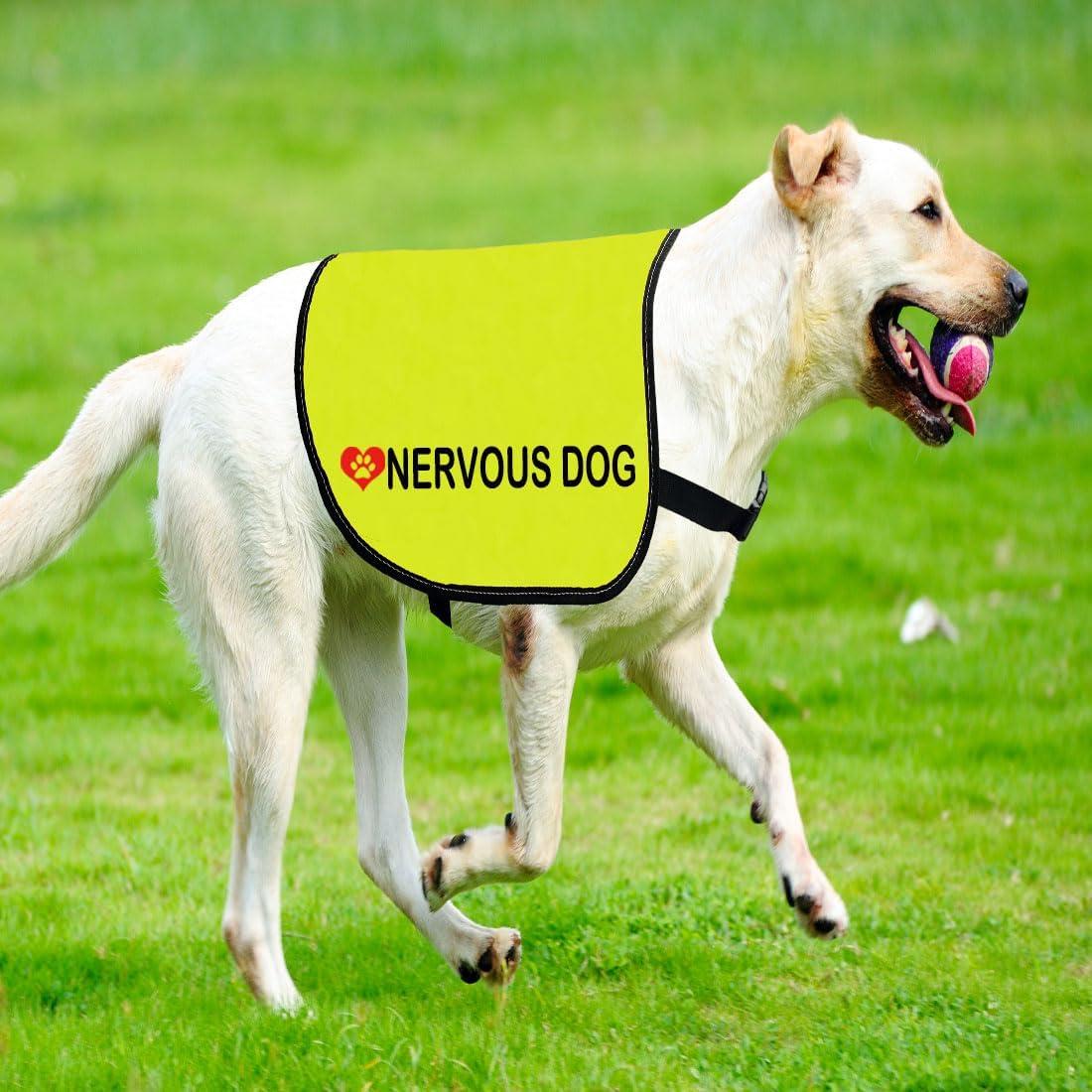 Nervous Dog Jacket Vest Rescue Dogs Anxious Dogs Scared Dogs Slogan ...