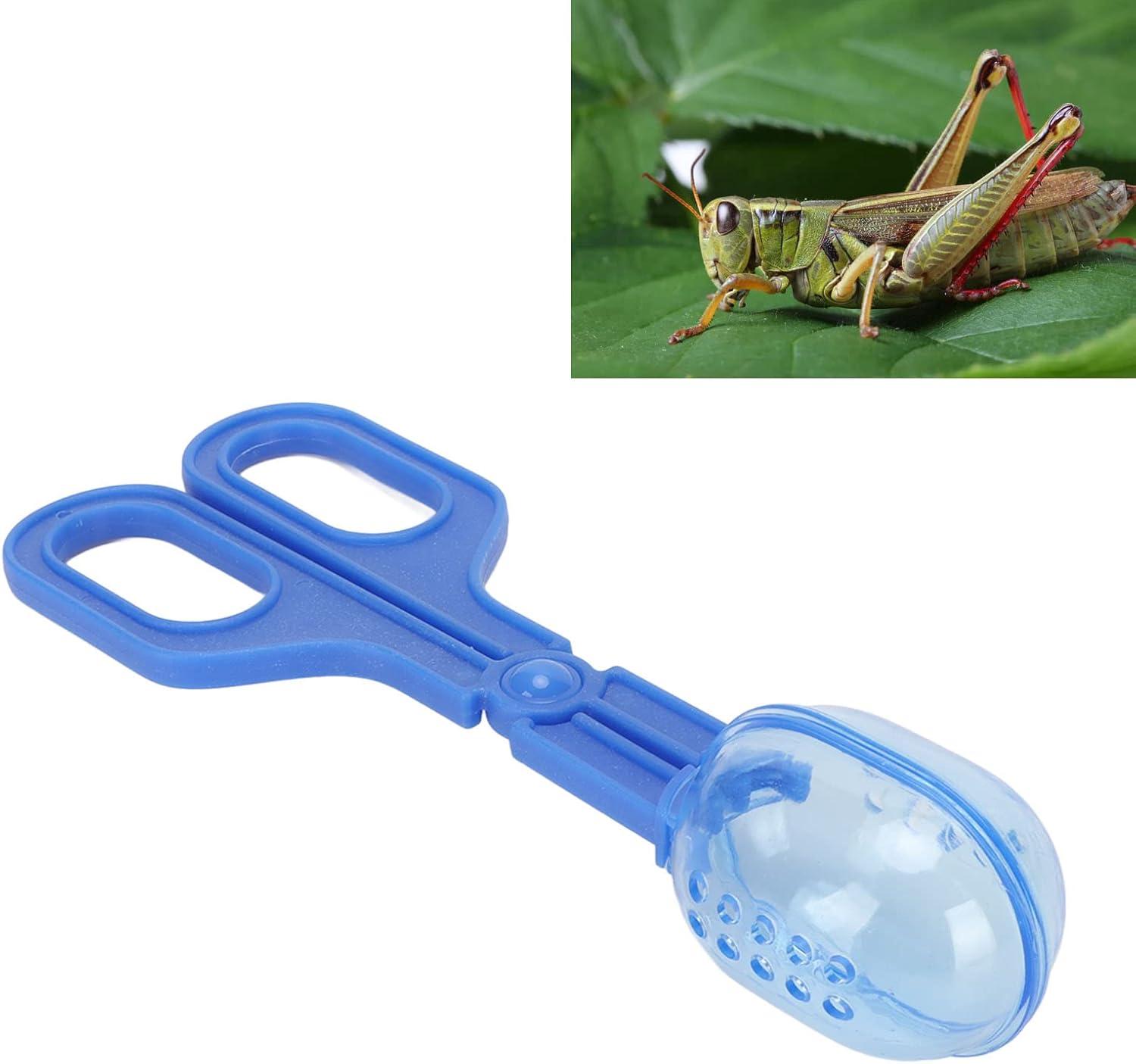 Multi-Purpose Reptile Feeding Clamp | Amphibian Terrarium Tool ...