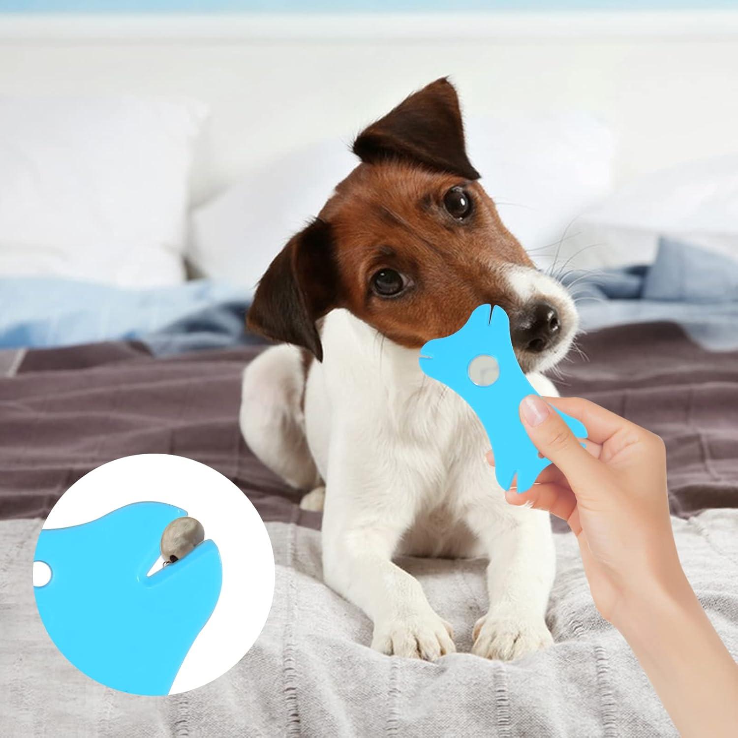 Caincay Tick Card Set with Magnifying Glass & Stainless Steel Tongs - 2 ...