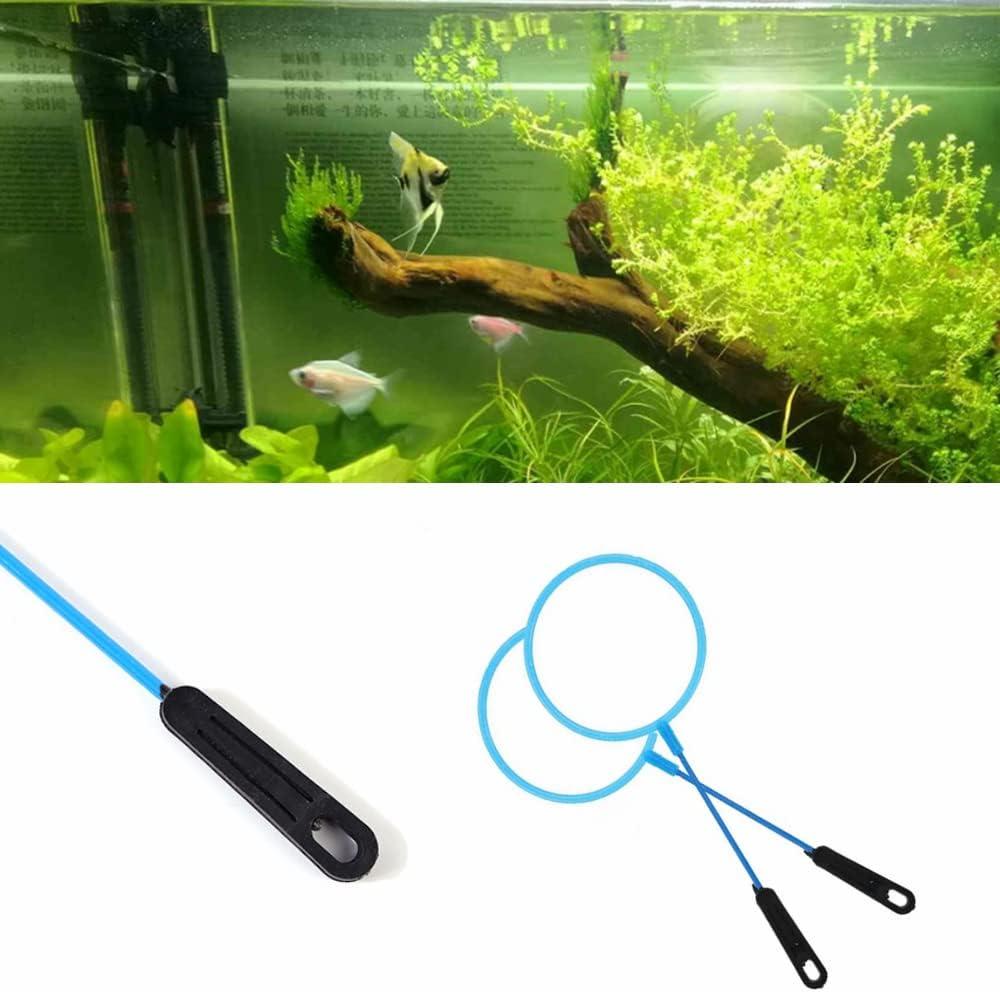 10Pcs Shrimp Nets Small Fishing Nets Aquarium Catcher Nets Plastic ...