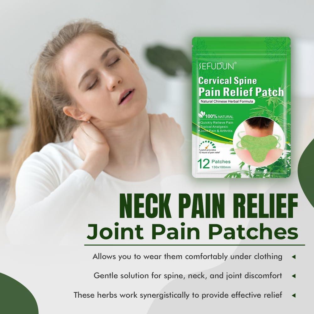 GARNET Neck Pain Relief Patches 12pcs - Herbal Cervical Shoulder ...