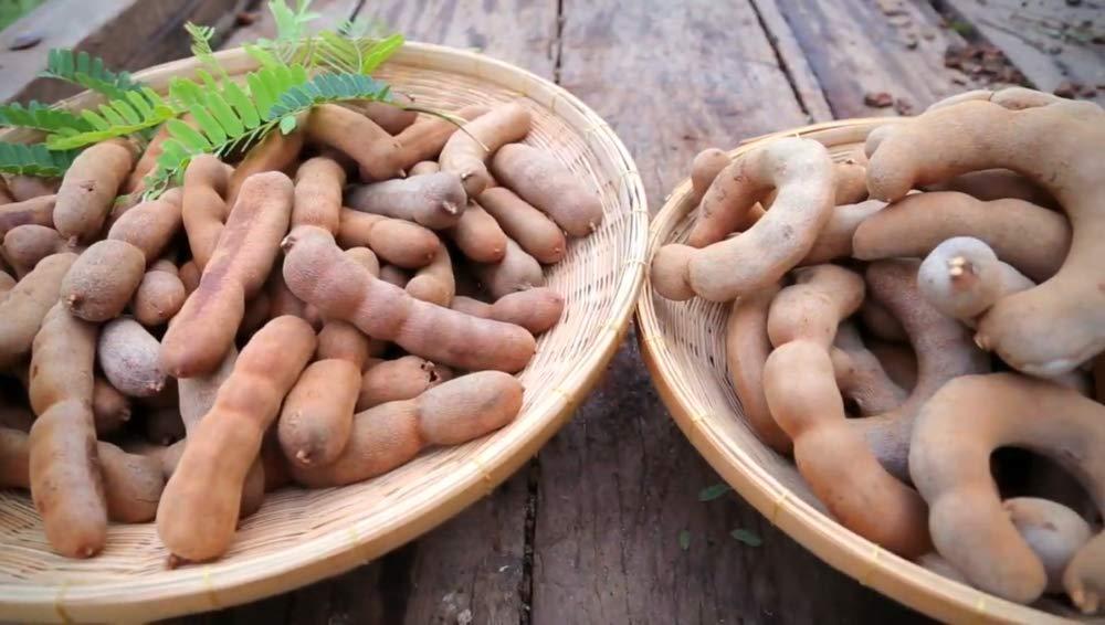 Happy Panda Seedless Tamarind Paste 14oz - Authentic Tamarindo Paste ...