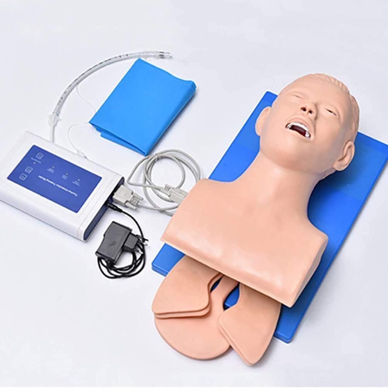Buy Human Body Airway Management Trainer - PVC Intubation Teaching ...