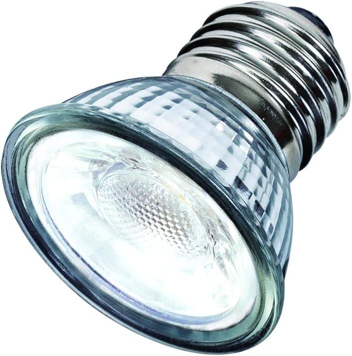 VIVIDARIUM MICRO NANO LED LIGHT BULB FOR REPTILES daylight white 6500k ...