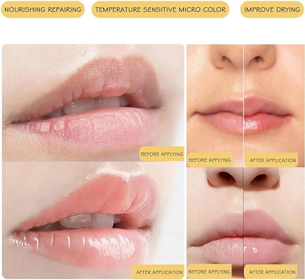 Sea & Moon Lip balm Set | Lip Balm Variety 8 Pack | 8 Flavours Original ...
