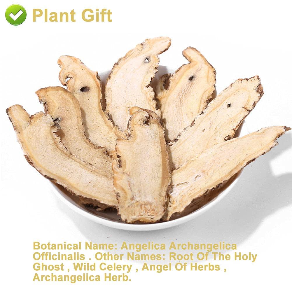 Buy Organic Angelica Root 70g - Dried Cut Root & Tea | Premium ...